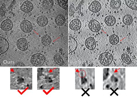 Slice Of The Error Volume Dataset 4 Left Reconstructions From
