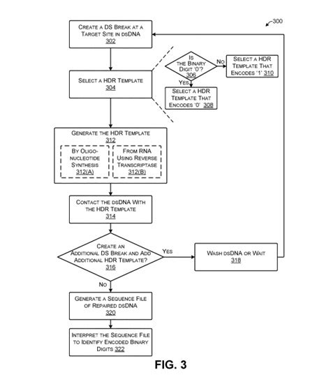 Storage Through Iterative Dna Editing Pioneering Minds