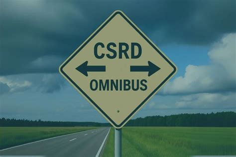 Csrd Omnibus And How To Make Informed Decisions Sustainlab