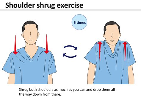 Trunk Physio Visuals Illustrated Exercise Stretching And Rehabilitation Guides