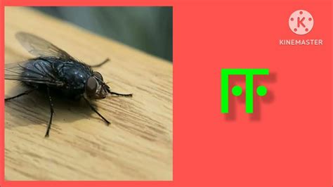 🙏 ஈ வரிசை சொற்கள் படிப்போம் வாங்க குட்டிஸ் 🙂 Youtube