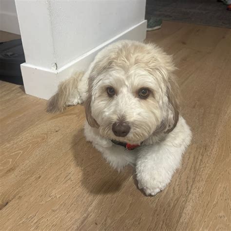 Ruby The Gymnast Youtube