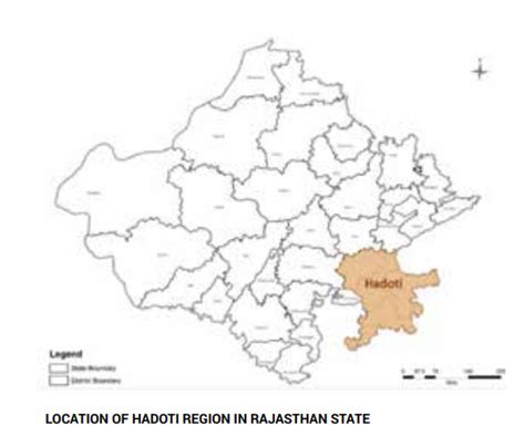 Rajasthan Foundation