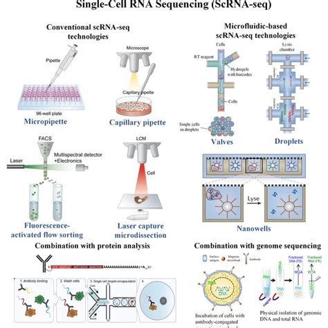 Summary Of Microfluidic Based Scrna Seq Technologies Download