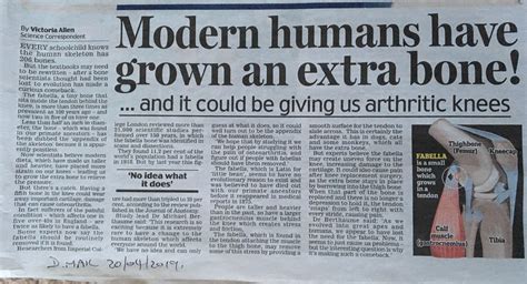 Evolution Of Human Knee Bone