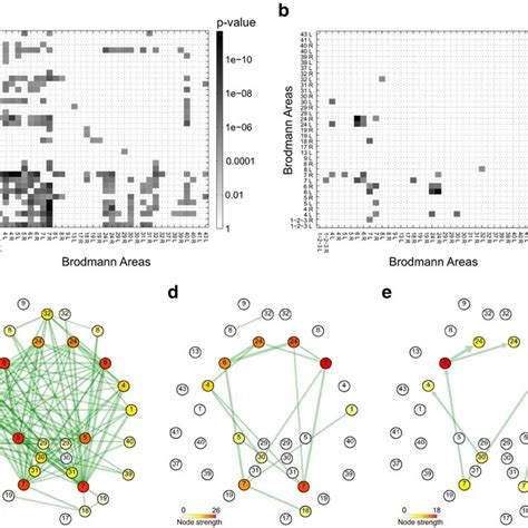 Schematic View Of The Proposed Neural Implementation Of The Associative
