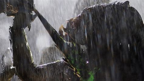 Alien Vs Predator 3 Idee Geniali Per Un Film Crossover Che Stupirebbe Tutti