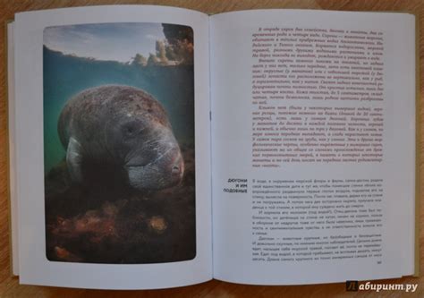 Книга: Мир животных. Рассказы о зверях крылатых, бронированных т.д ...