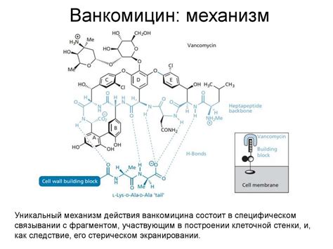Антибактериальные лекарства - презентация онлайн