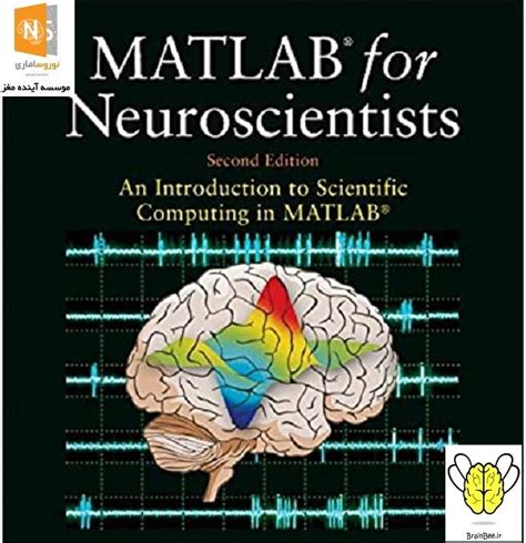 دوره آموزشی استفاده از متلب در علوم اعصاب نوروسافاری دانش مغز و