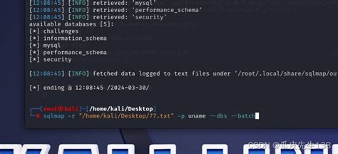 Sql 注入的类型之 Post 基于错误的注入（sqllib靶场less 11 12）（通过burpusite分析）sql注入漏洞测试post Csdn博客