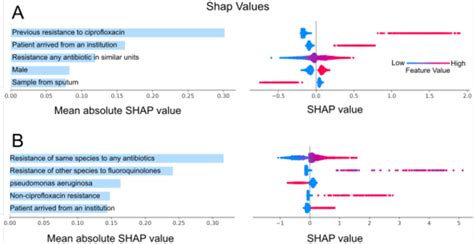SHAP Values Of The Ensemble Model For The Five Most Influential