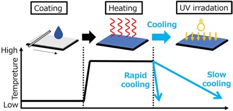 Novel Cholesteric Liquid Crystal Films Creating Angle Insensitive