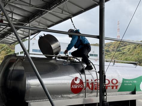 르포 2030년까지 A2 젖소만프리미엄 우유 대중화 나무뉴스