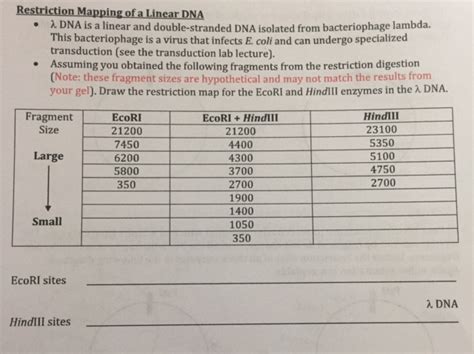 Solved Restriction Mapping Of A Linear DNA A DNA Is A Chegg