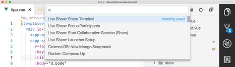 Vs Live Share Extension On Vs Code For Mac Bingeruniverse