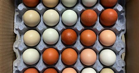 The Case For Spark Evolution An April First The Adacore Blog