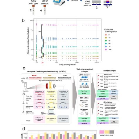 Copy Number Profiling Using Nanopore Low Pass Whole Genome Sequencing Download Scientific
