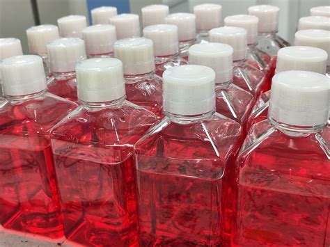 原代细胞和传代细胞的优缺点