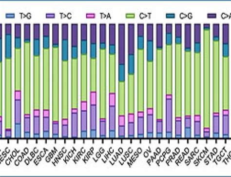 Circrnadb A Comprehensive Database For Human Circular Rnas With Protein Coding Annotations