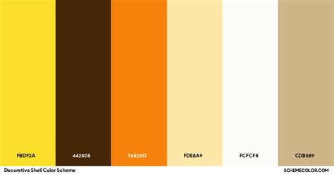 Decorative Shell Color Scheme Image