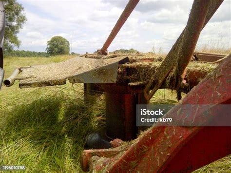 농업 커터 바 사이클로 커터 또는 잔디 깎기 농업 및 깎기에 사용되는 구식 및 낡은 잔디 깎기의 클로즈업 0명에 대한 스톡 사진 및 기타 이미지 Istock