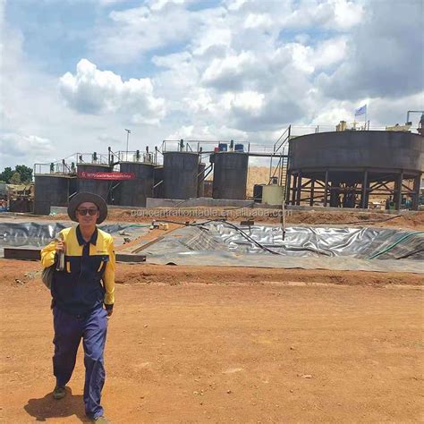 500tpd Spodumene Flotation Separator Plant Lithium Ore Processing Machine China Lithium Ore