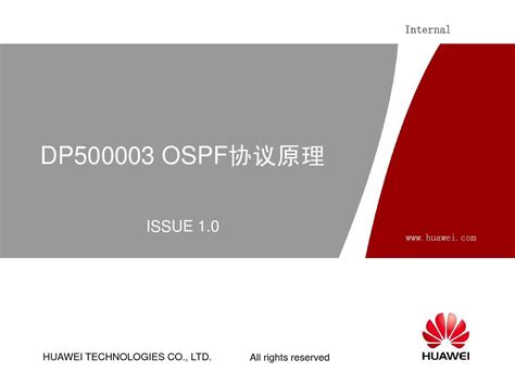 Dp Ospf Issue Issue A Word
