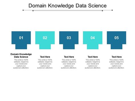 Domain Knowledge Data Science Ppt Powerpoint Presentation Portfolio