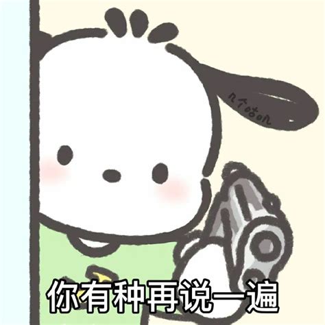帕恰狗 堆糖,美图壁纸兴趣社区 帕恰狗 堆糖,美图壁纸兴趣社区