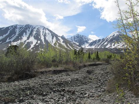 Discover The Kluane Park Area Alayuk Adventures