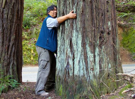 What Does Science Say About Tree Hugging Luminous Spaces