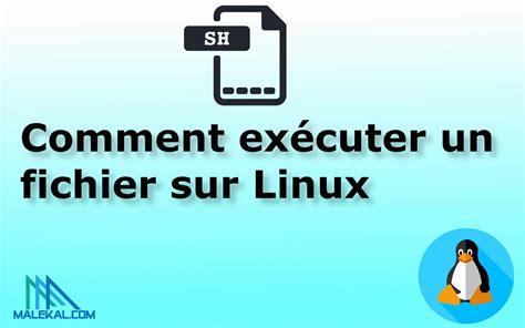 comment exécuter un fichier sur linux script shell ou binaire korbens