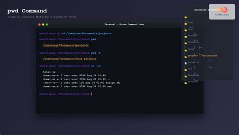 Pwd Command In Linux Complete Guide To Display Current Working Directory Path Codelucky