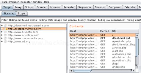 Advance Web Application Testing Using Burpsuite Hacking Articles