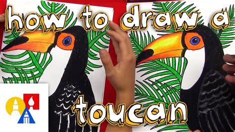 Toucan Drawing Step By Step Maxresdefault How To Draw A Toucan Bird