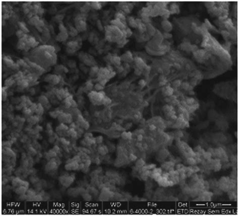 The SEM Image Of Fe O SiO ILPVP Download Scientific Diagram