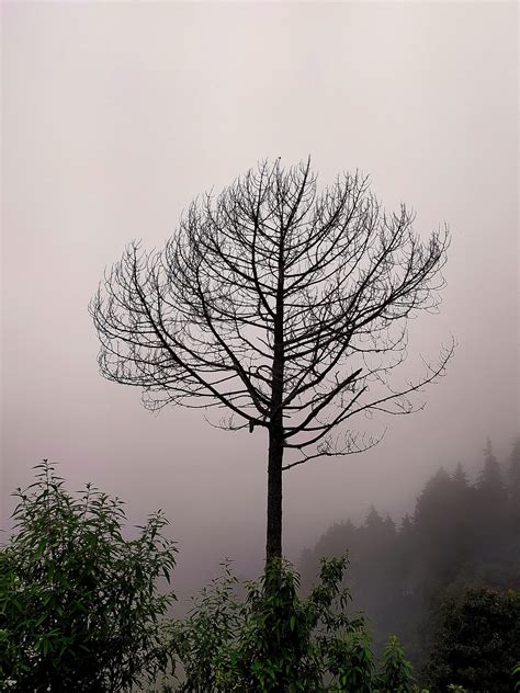 What Is Decoder Only Transformer Model Generative Ai