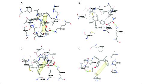 Hydrogen Bond And π π Interactions At The Active Site Of The Estrogen
