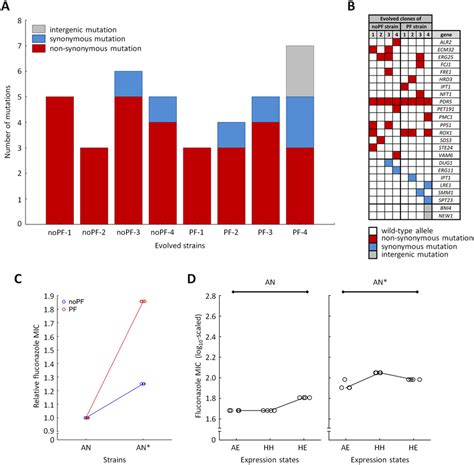 Genomic Analysis A Distribution Of Mutational Events Across The