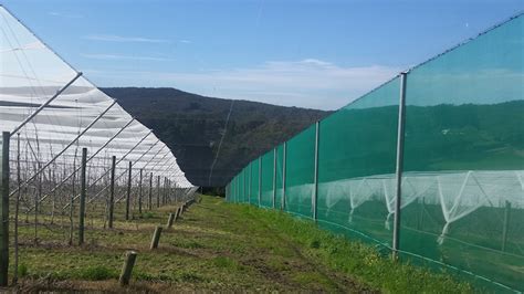netting gallery elite netting protective netting structures woodside sa