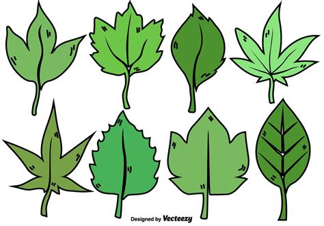 Cartoon Leaves Collection 146949 Vector Art At Vecteezy