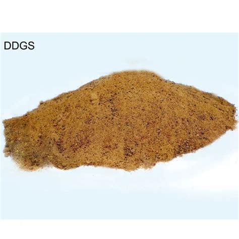 Rice Dried Distillers Grains Soluble Rice Ddgs At ₹ 2325kg Baramati Midc Baramati Id