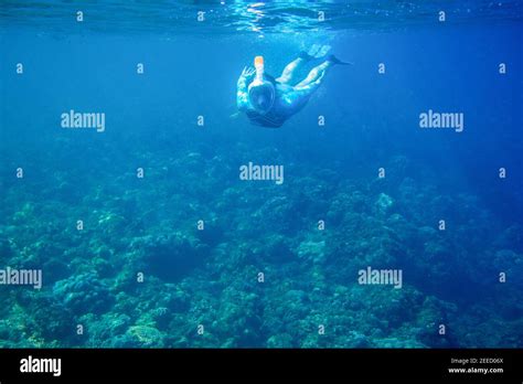 Woman Dives In Coral Reef Girl Snorkeling In Full Face Mask Snorkel