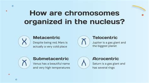 Cellular Structure And Function Science Th Grade