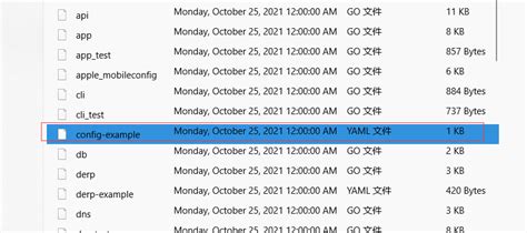 比 Tailscale 更好的内网穿透方案 Headscale Csdn博客