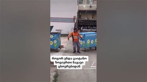 როგორ უნდა მოიცილო ნაგავი Georgia საქართველო თბილისი ყოველდღიურივლოგი Youtube