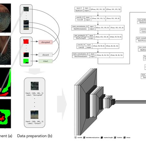 Figure S3 Training Paradigm And Architecture For Patch Based Download Scientific Diagram