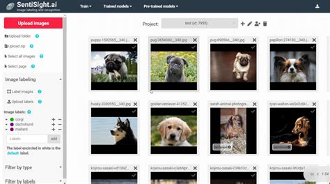 quickstart guide for object detection model training using sentisight ai