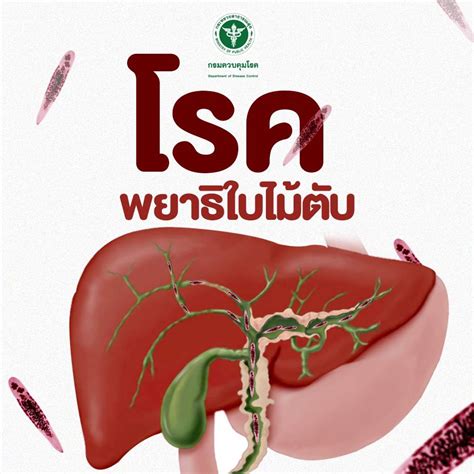 เตือน ระวังโรค เมลิออยด์ ไข้ดิน คลังสื่อ สำนักงานป้องกันควบคุมโรคที่ 5 จังหวัดราชบุรี